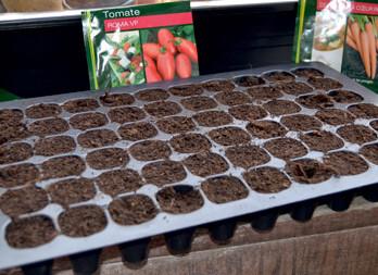 Stock Ath - PLANTING PLATE