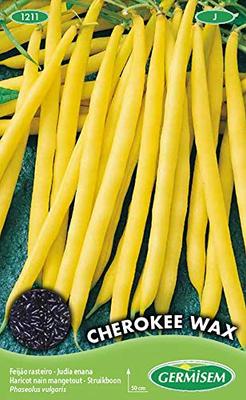 Stock Ath - HARICOT NAIN MANGETOUT CHEROKEE WAX