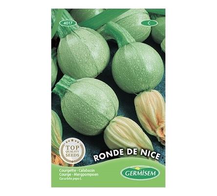 Stock Ath - COURGETTE RONDE DE NICE