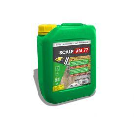 Stock Ath - SCALP BIOCIDE PLUS ULTRA CONCENTRE AM77 5L