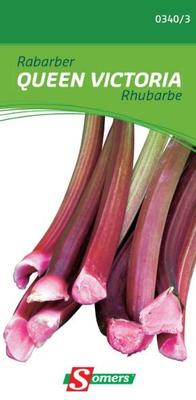 Stock Ath - SOMERS RHUBARBE QUEEN VICTORIA